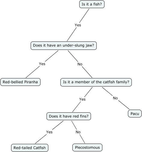Dichotomous Key - Fish
