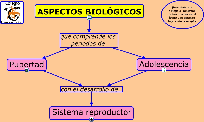 4.3 aspectos biolÃ³gicos