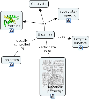 IHMC CmapTools - Concept Map :: Enzymes