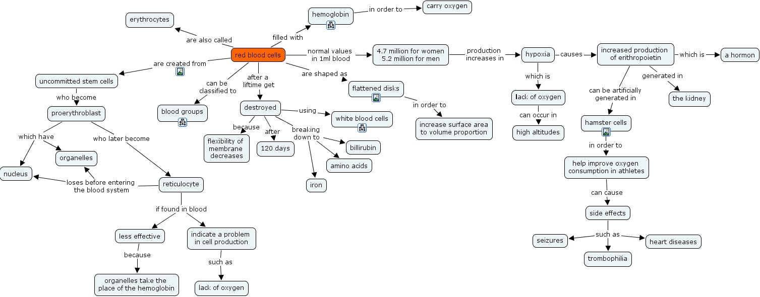 IHMC CmapTools - Concept Map :: red blood cells