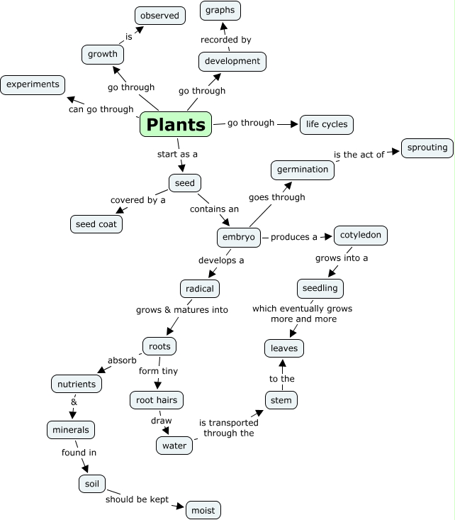 2. Growth & Development of Plants - How do plants grow?