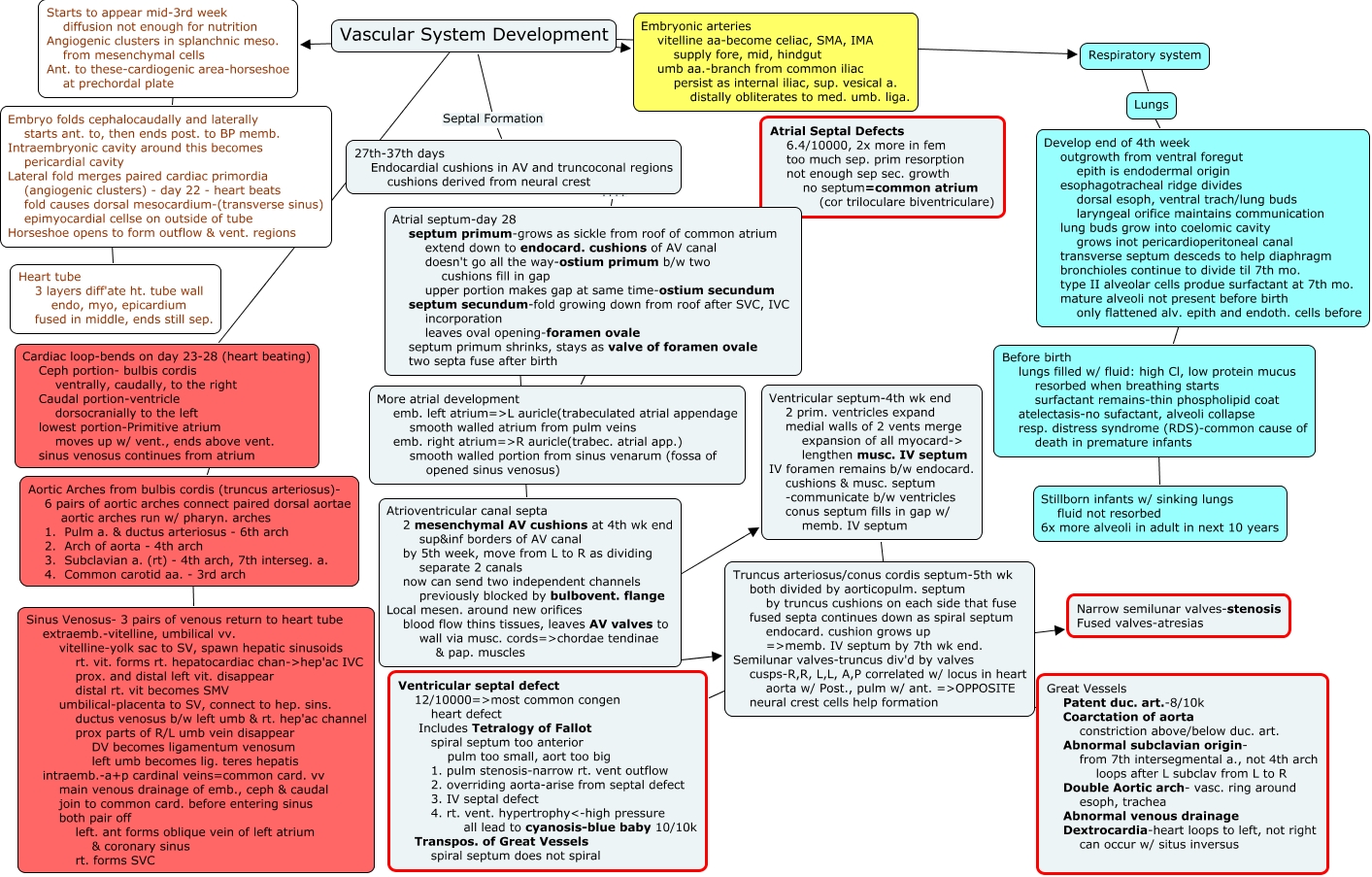 Vascular System Development