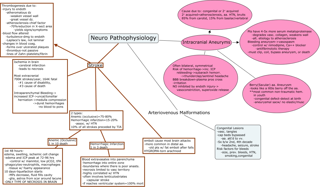 Neuro Pathophysiology