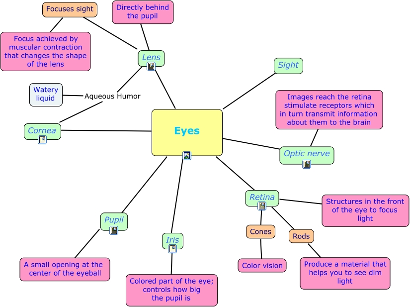Eyes