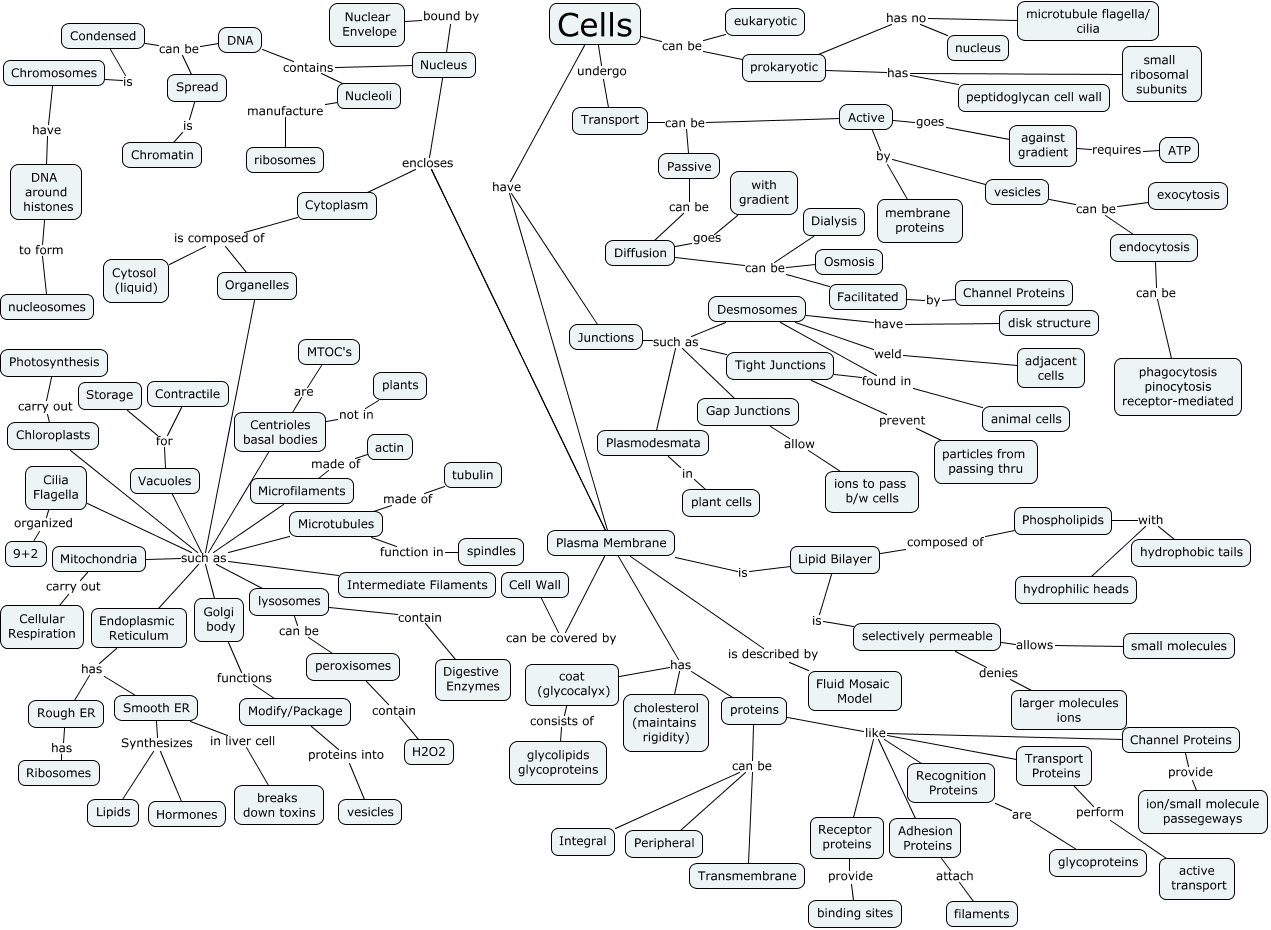 cells - what are cells