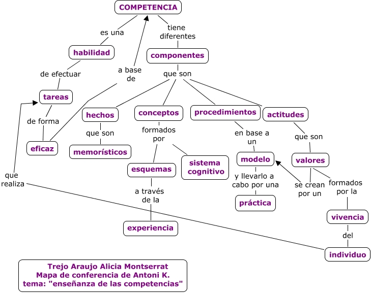 competencia - ¿que es una competencia?