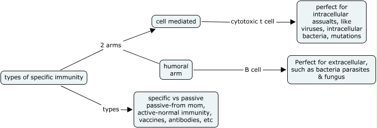 types of specific immunity