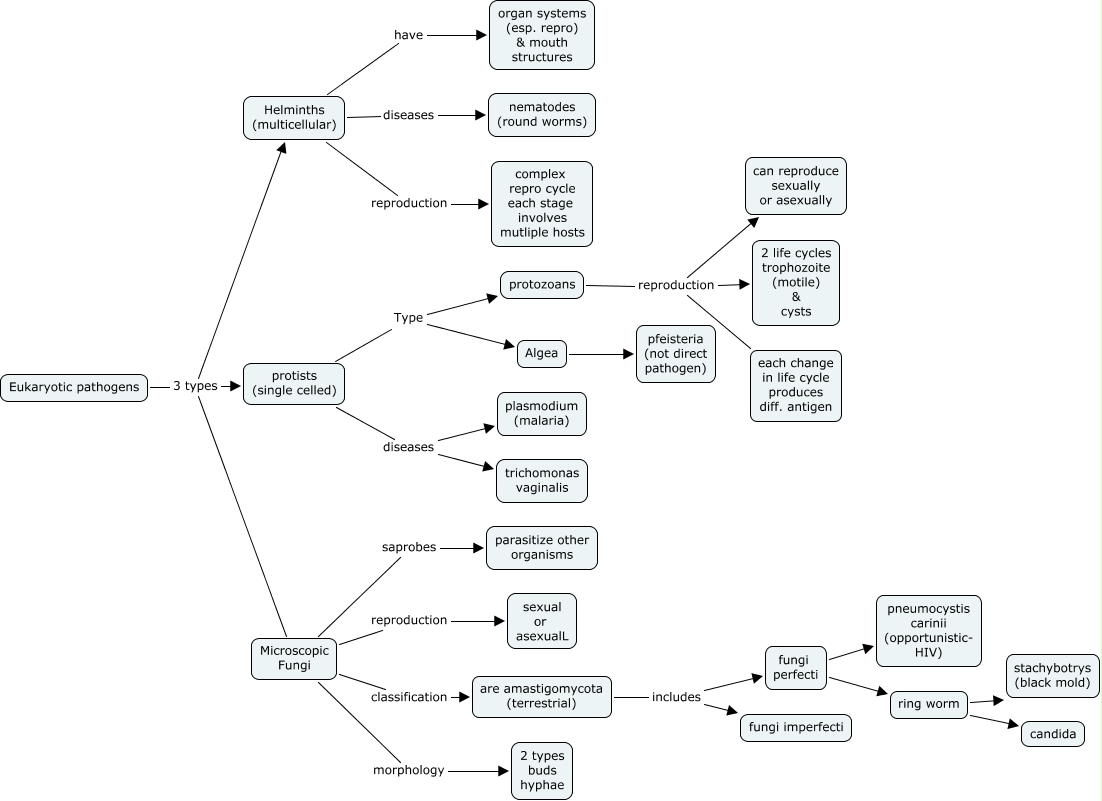 eukaryotic pathogens