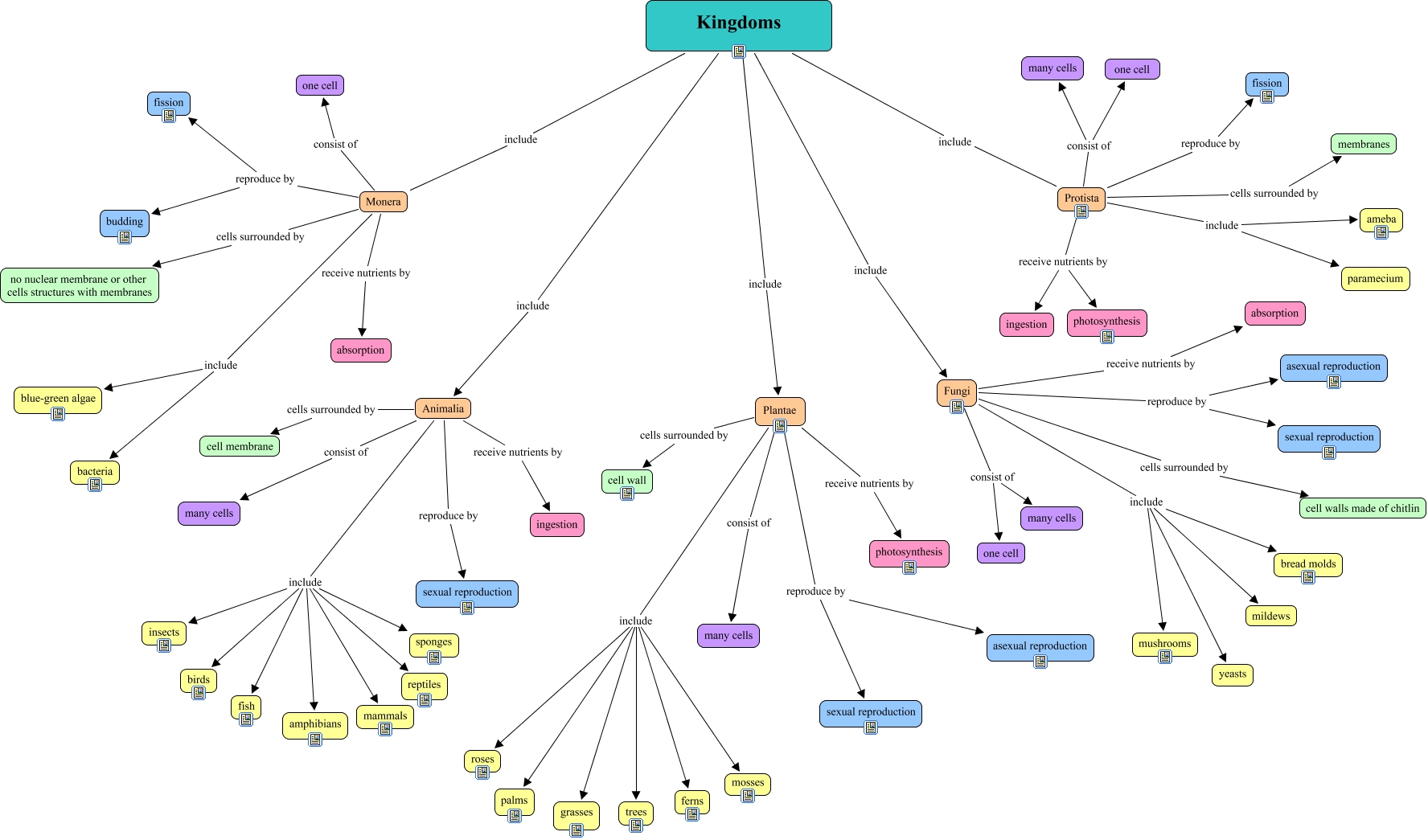 Five Kingdoms - Kim Depuydt