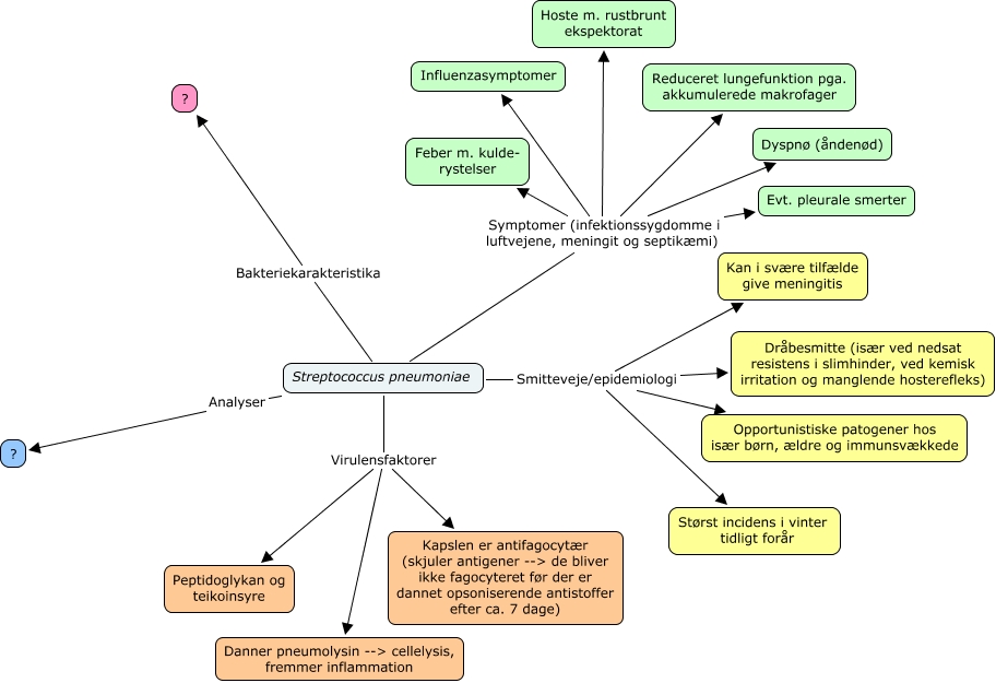 F09 S4j Opgave 2 Streptococcus pneumoniae mindmap