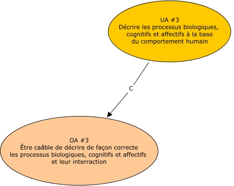 Cmap_OA3 - Carte de concepts