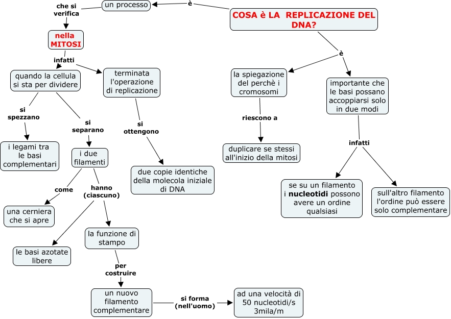 4 LA REPLICAZIONE DEL DNA - Mappa Concettuale