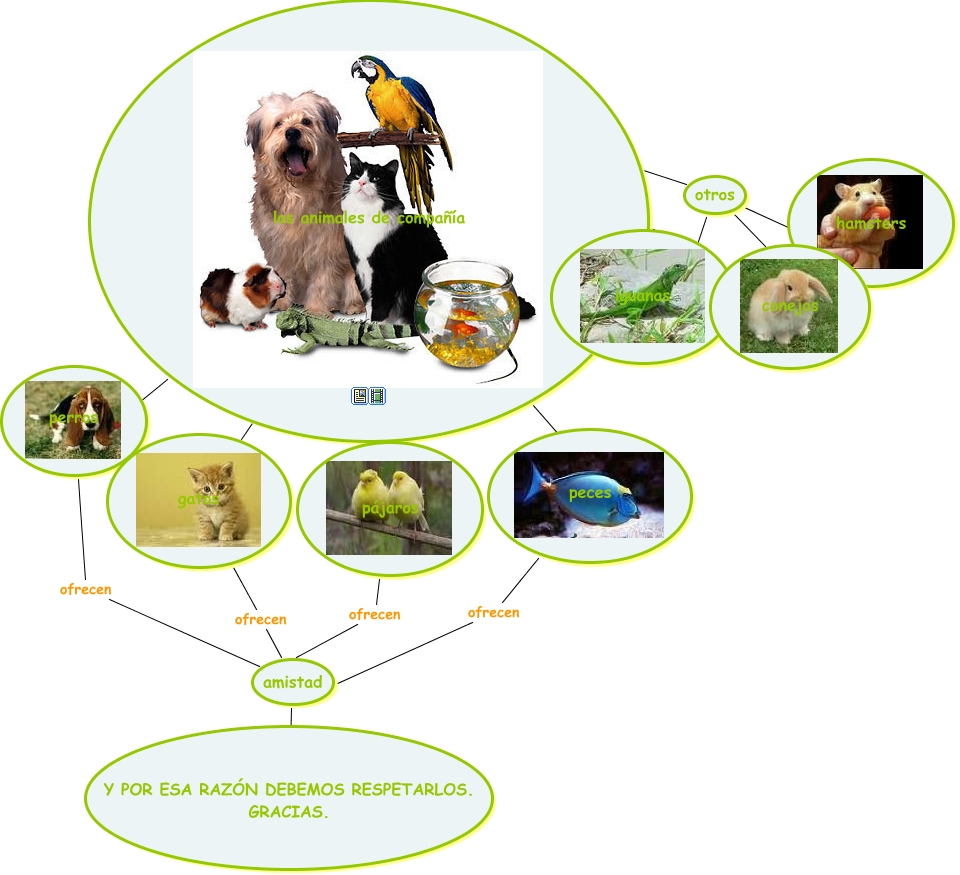 los animales de compañía