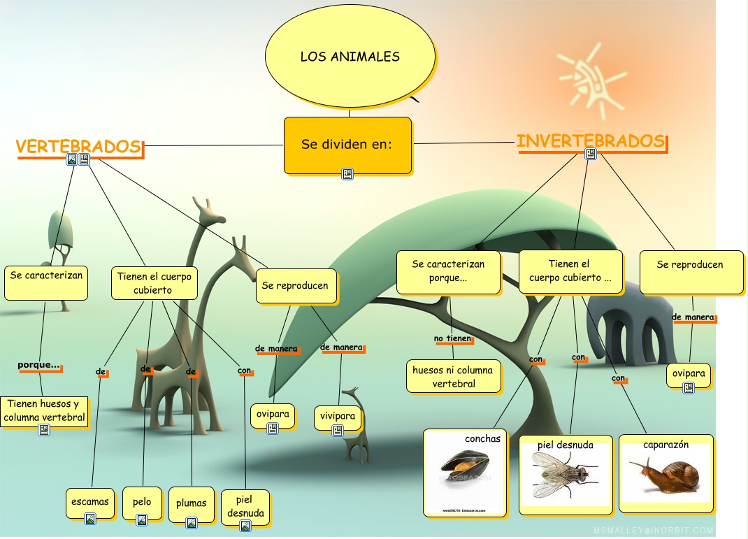 MAPA CONCEPTUALANIMALES VERTEBRADOS E INVERTEBRADOS