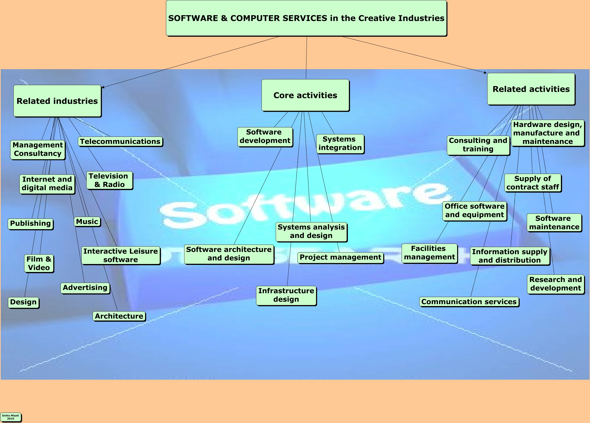 Software & Computer Services - What are the activities of the software ...