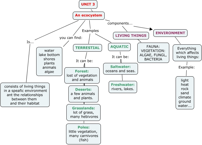 Unit 3- ecosystems