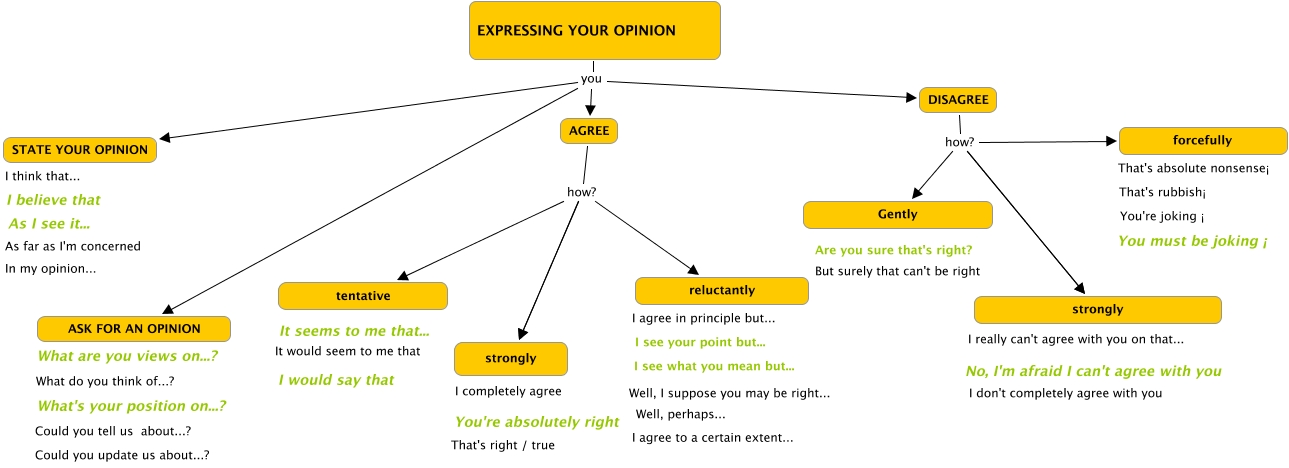 Expressing your Opinion