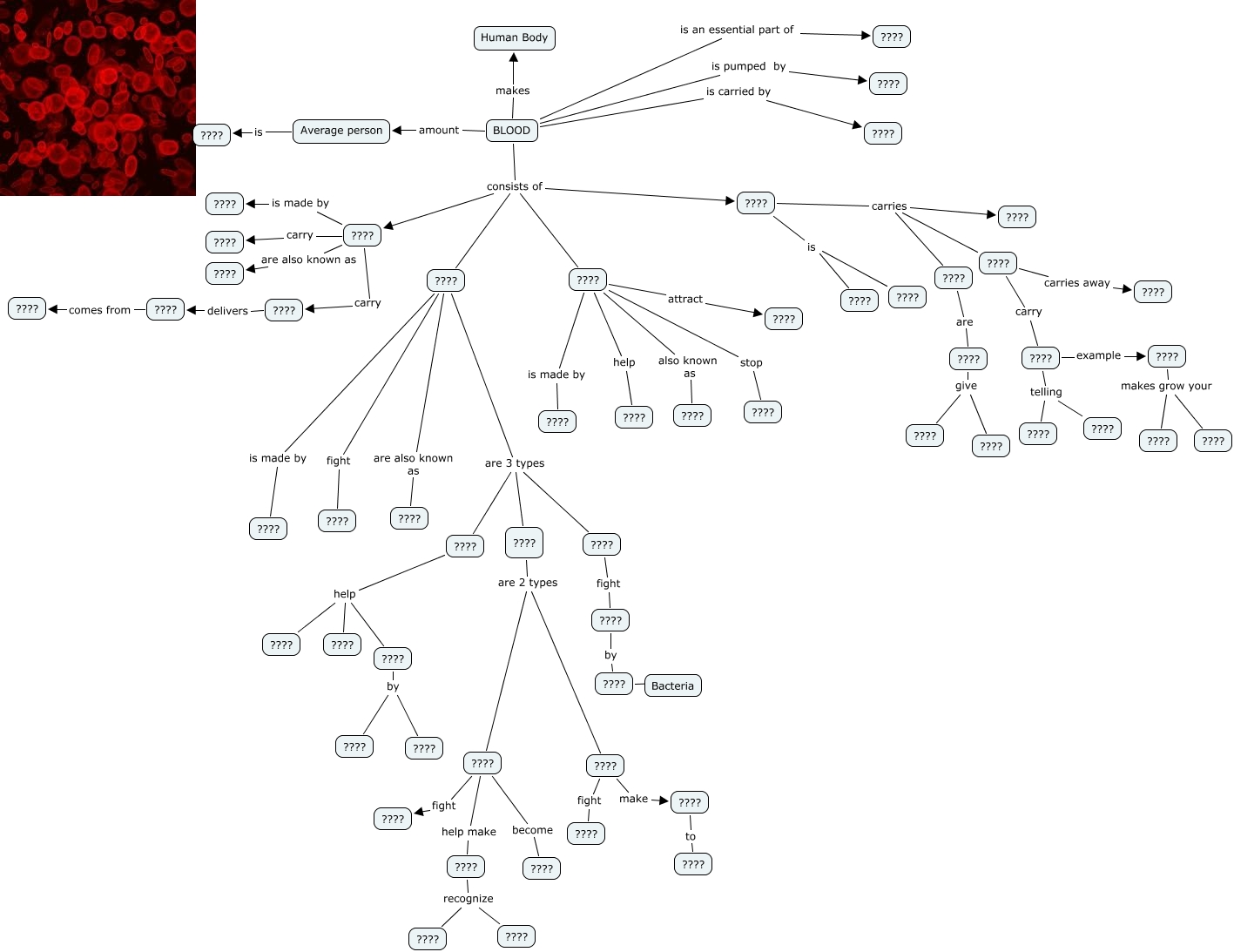 WHAT´S BLOOD MINDMAP