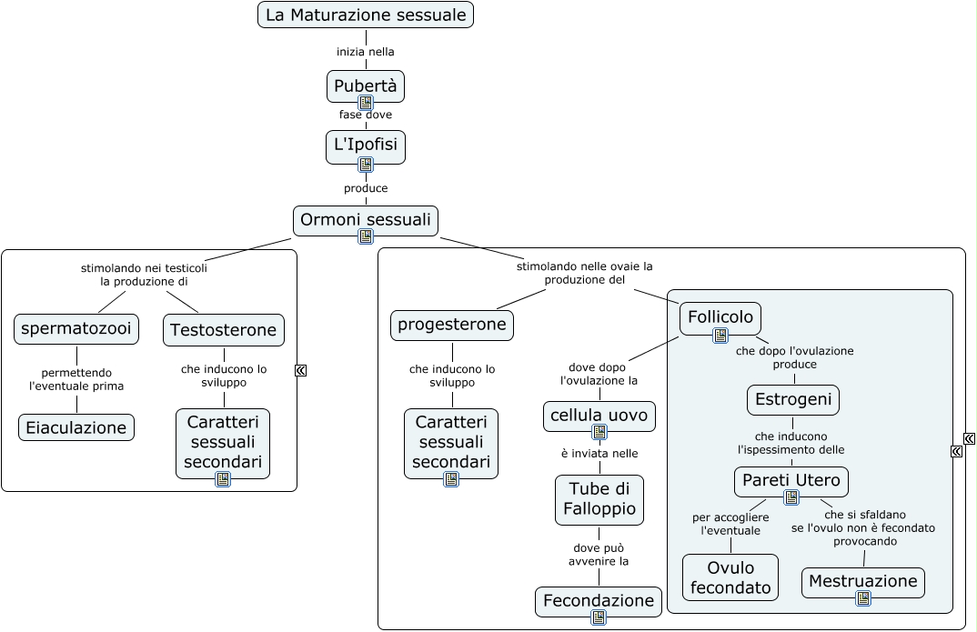 maturazione sessuale