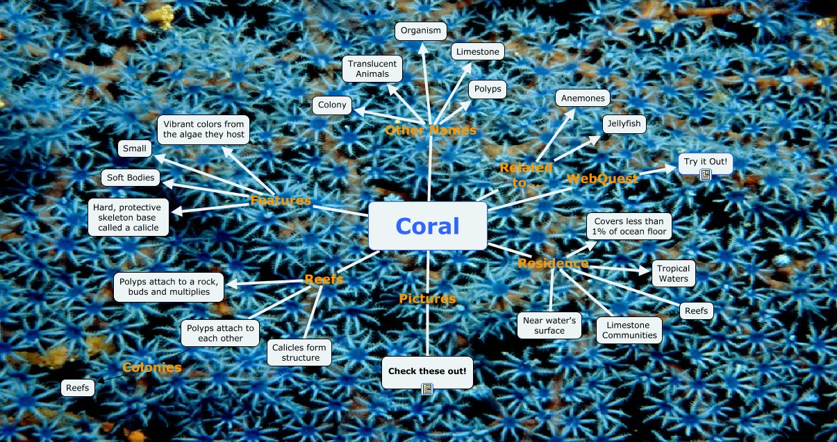 Coral