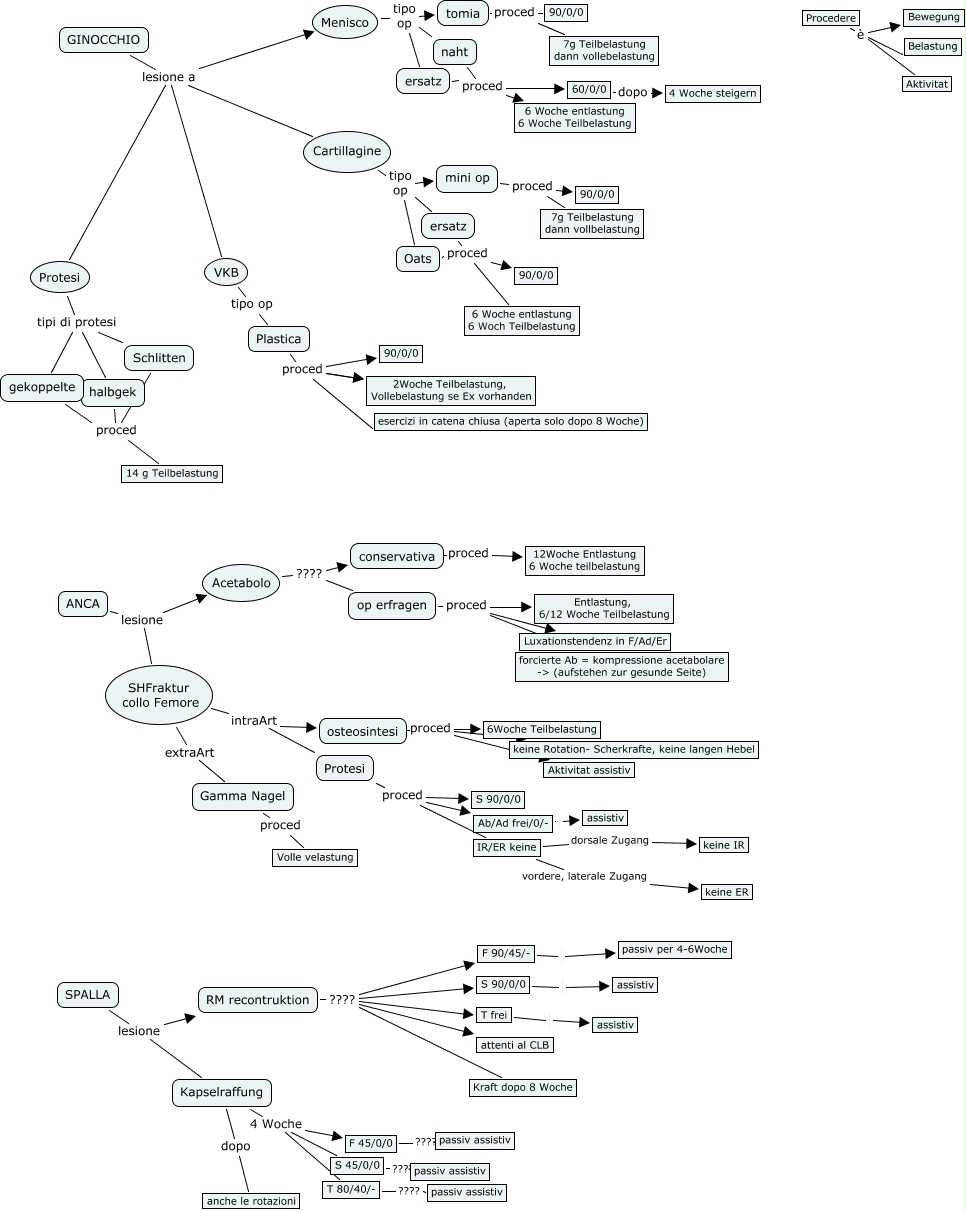 Richter Procedere riassunto