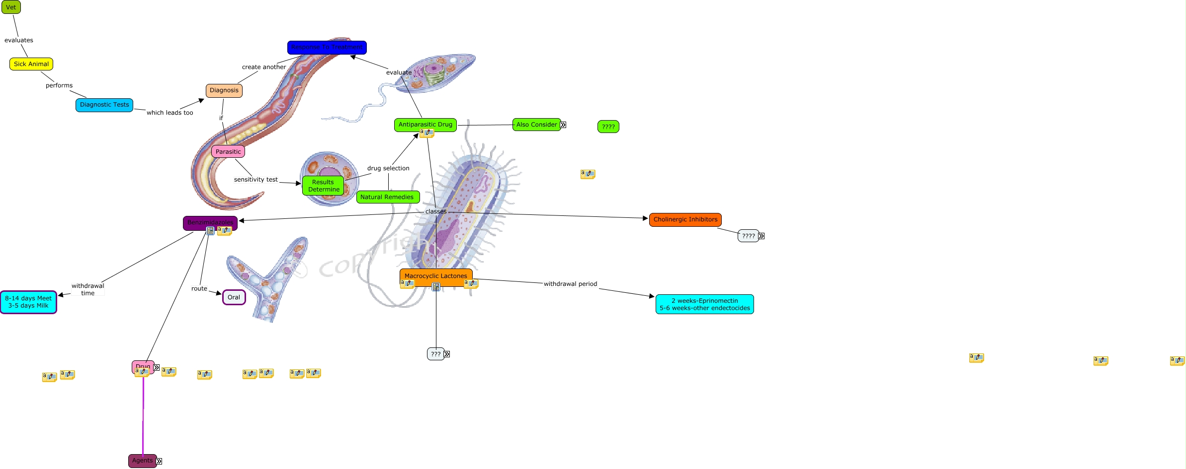 Antiparasitic Drugs 2