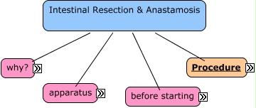 intestinal resection