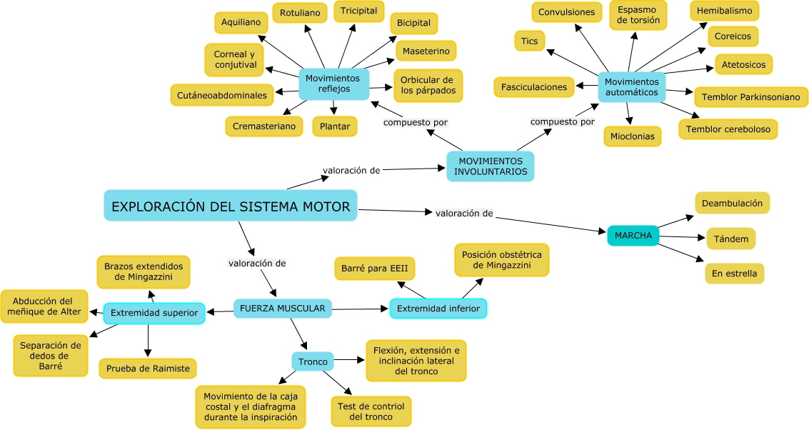 EXPLORACION NEUROLOGICA
