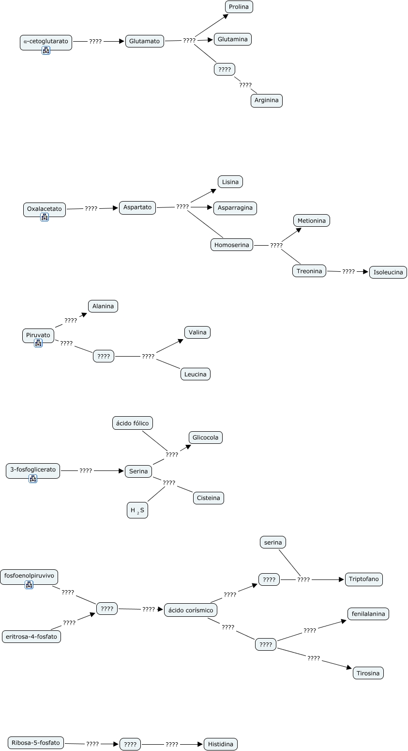 47Biosíntesis de aminoácidos