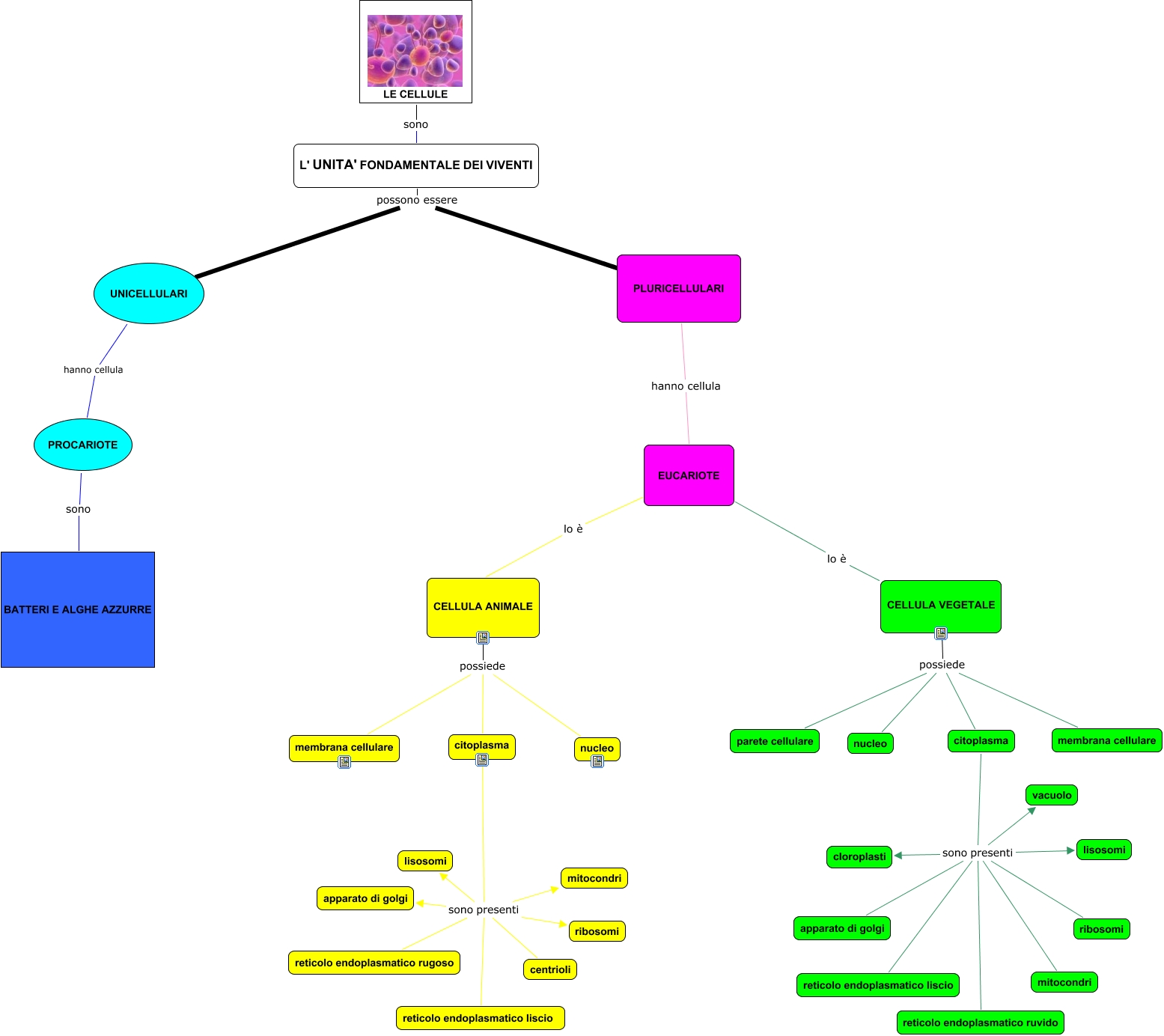 LA CELLULA mappa DSA - cosa è la cellula