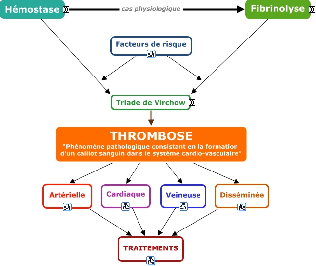 THROMBOSE