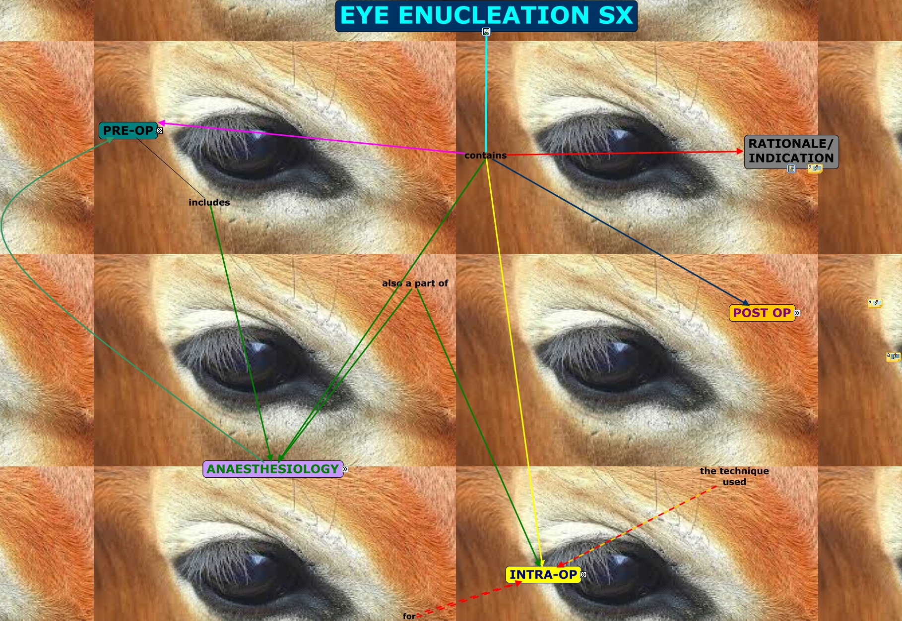 EYE REMOVAL SURGERY