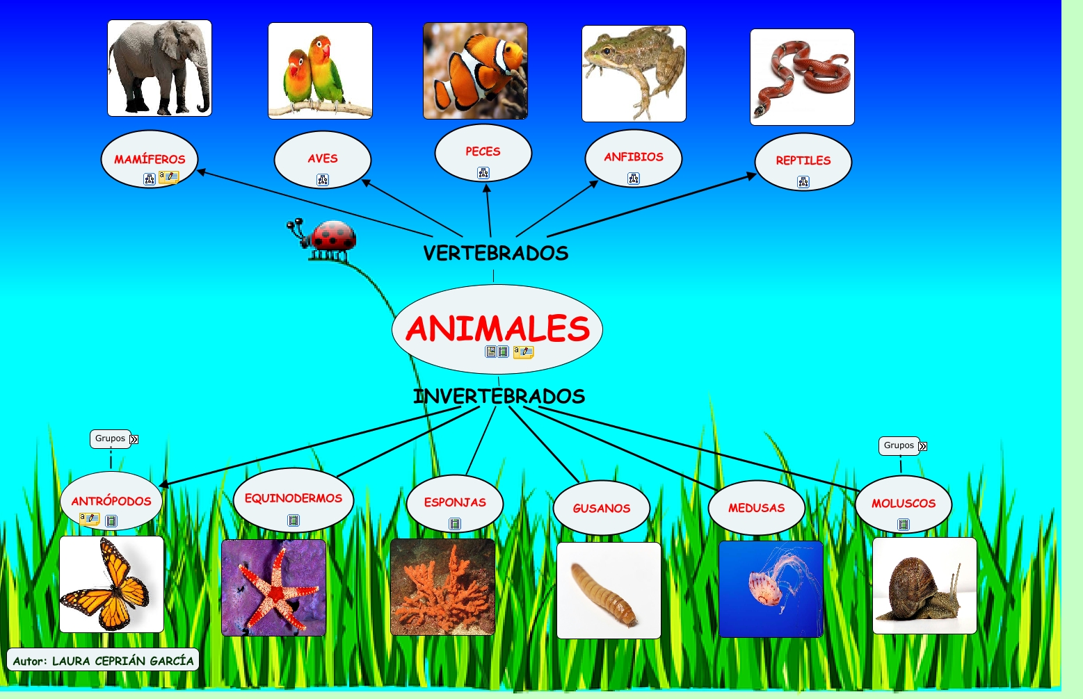 CLASIFICACIÓN ANIMALES