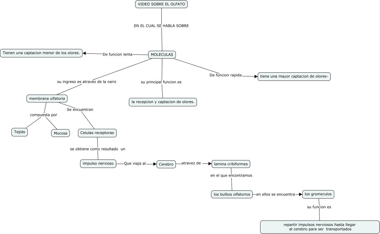 VIDEO TEMA EL OLFATO