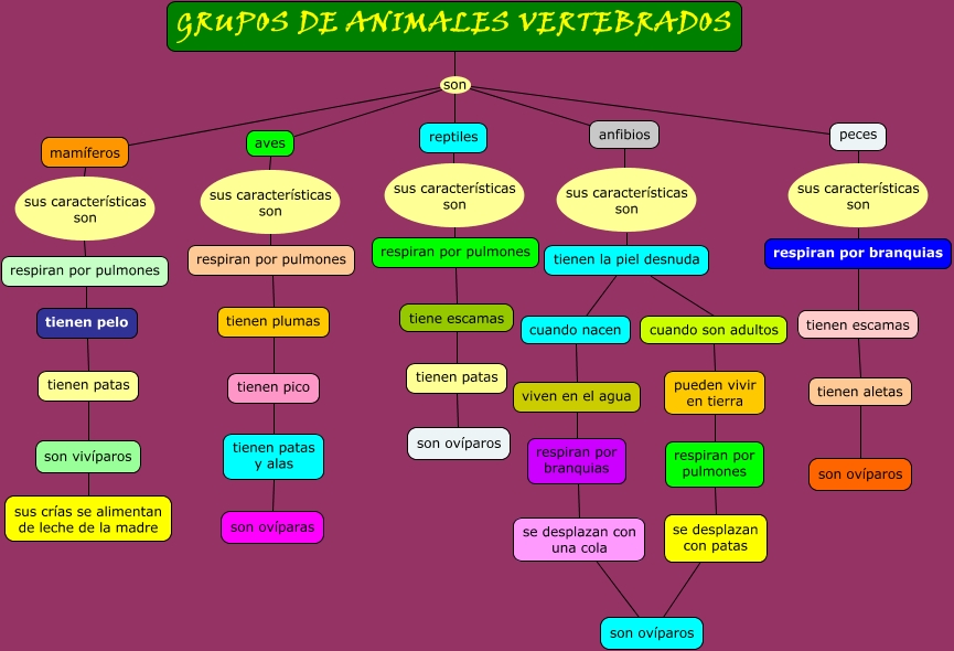 Grupos de animales vertebrados