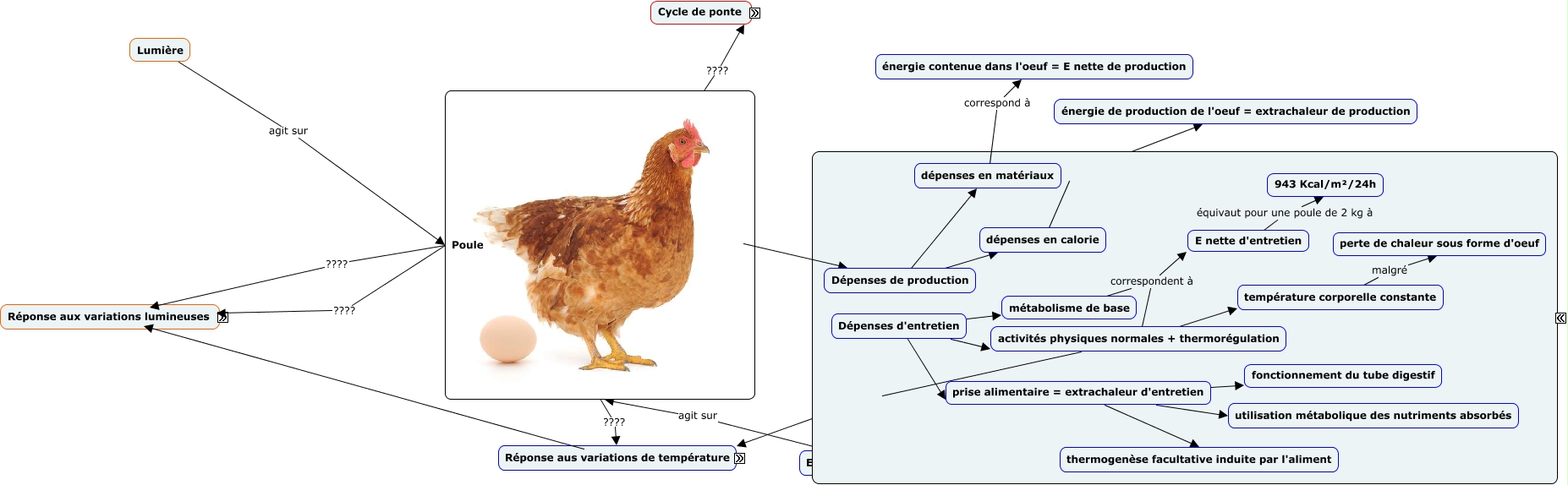 poule 18 avril 18h30