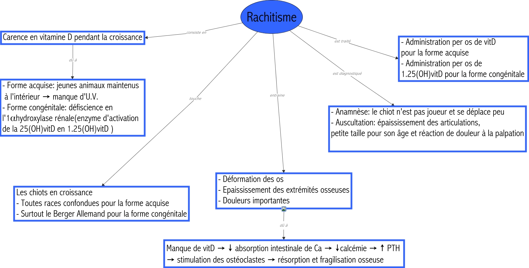 Rachitisme-adeline