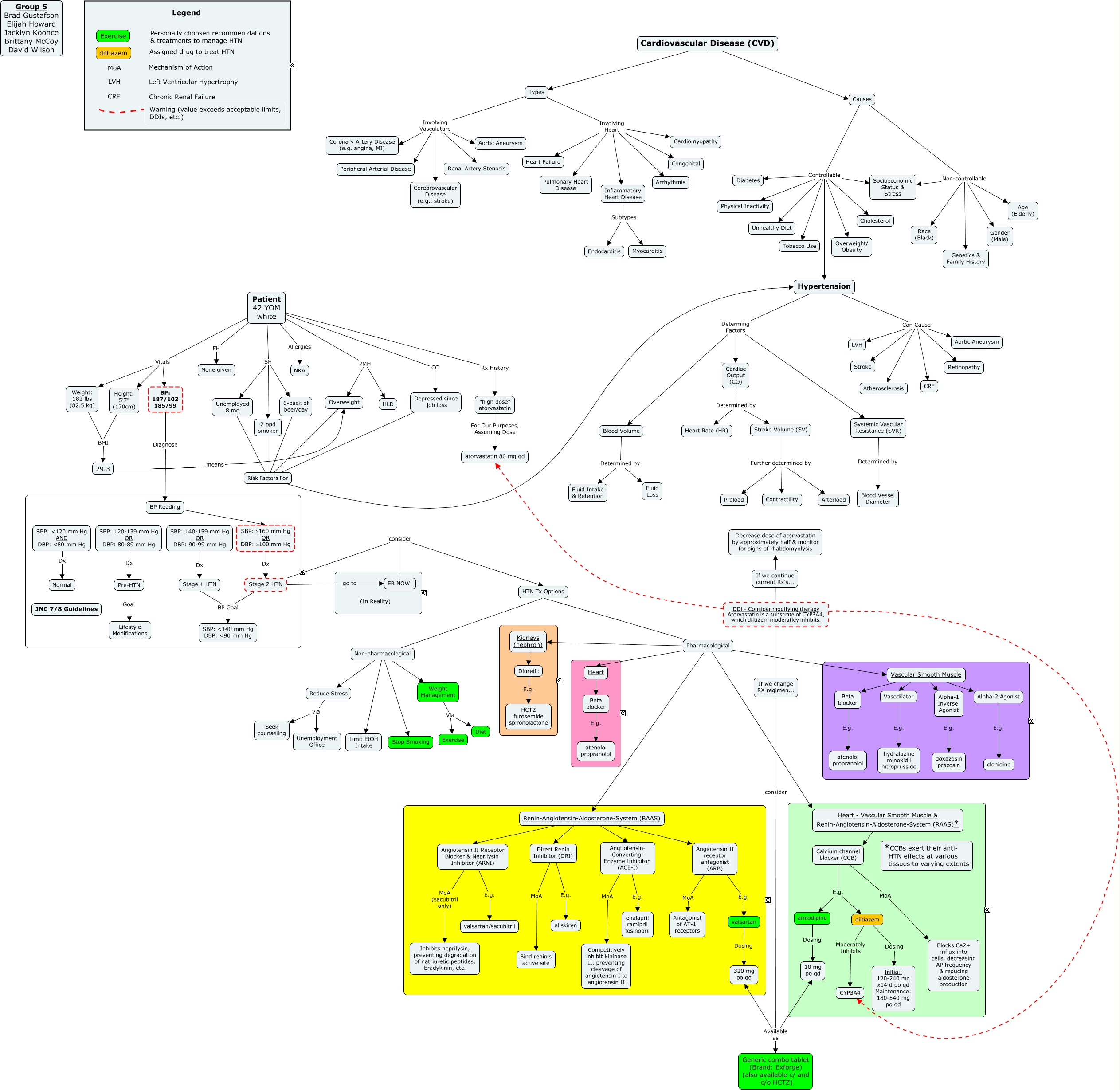 Group 5 - Hypertension Cmap 2