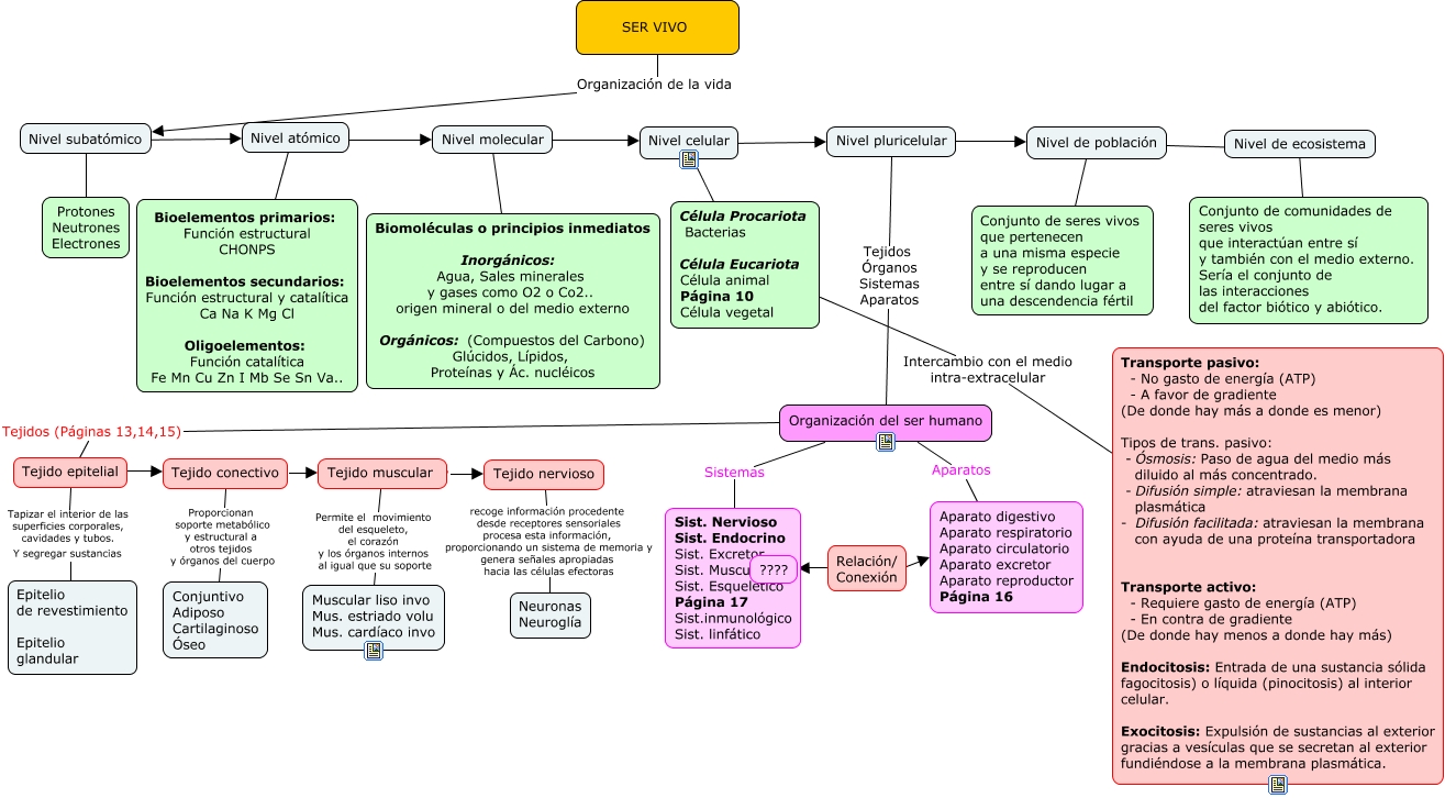 Mapa conceptual UDI 1 3ESO