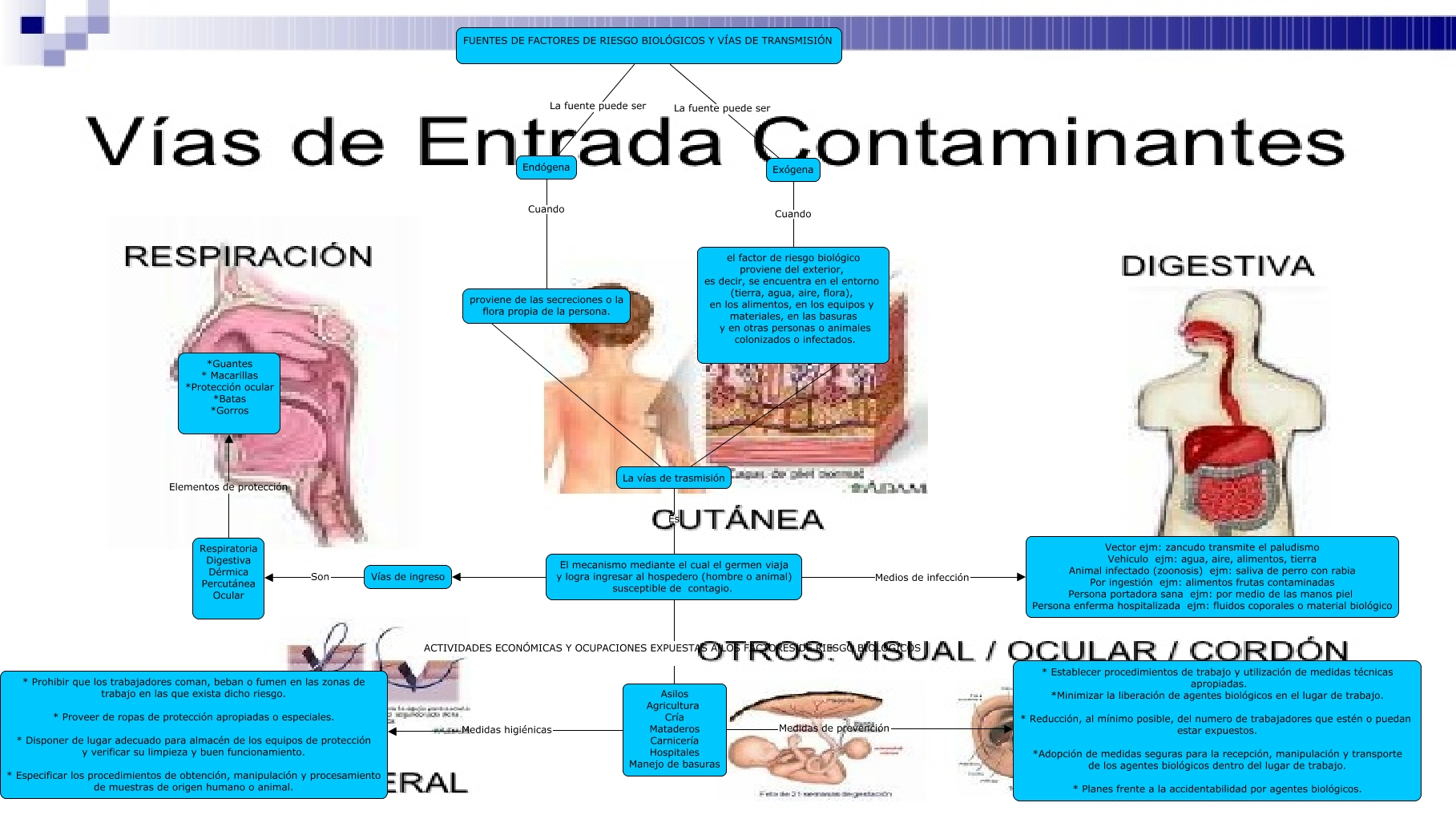 RIESGOS BIOLÓGICOS VIAS DE TRANSMISIÓN