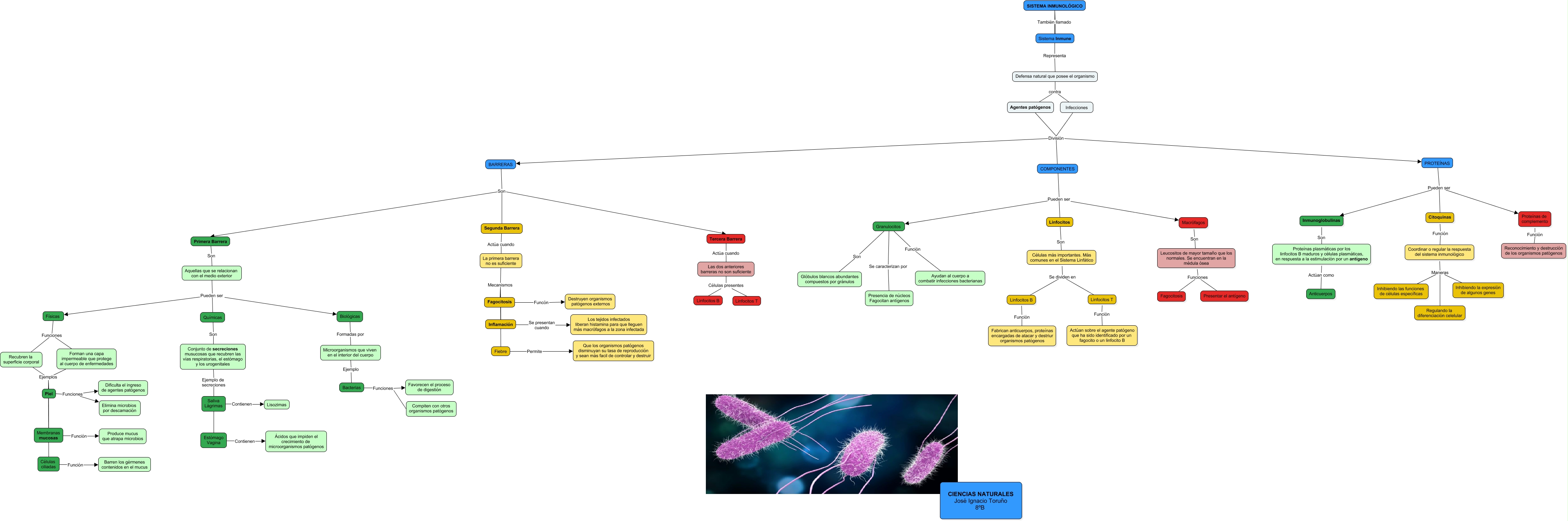 Sistema Inmunológico