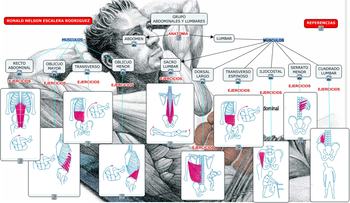 MUSCULACION ABDOMINAL Y LUMBAR CORE