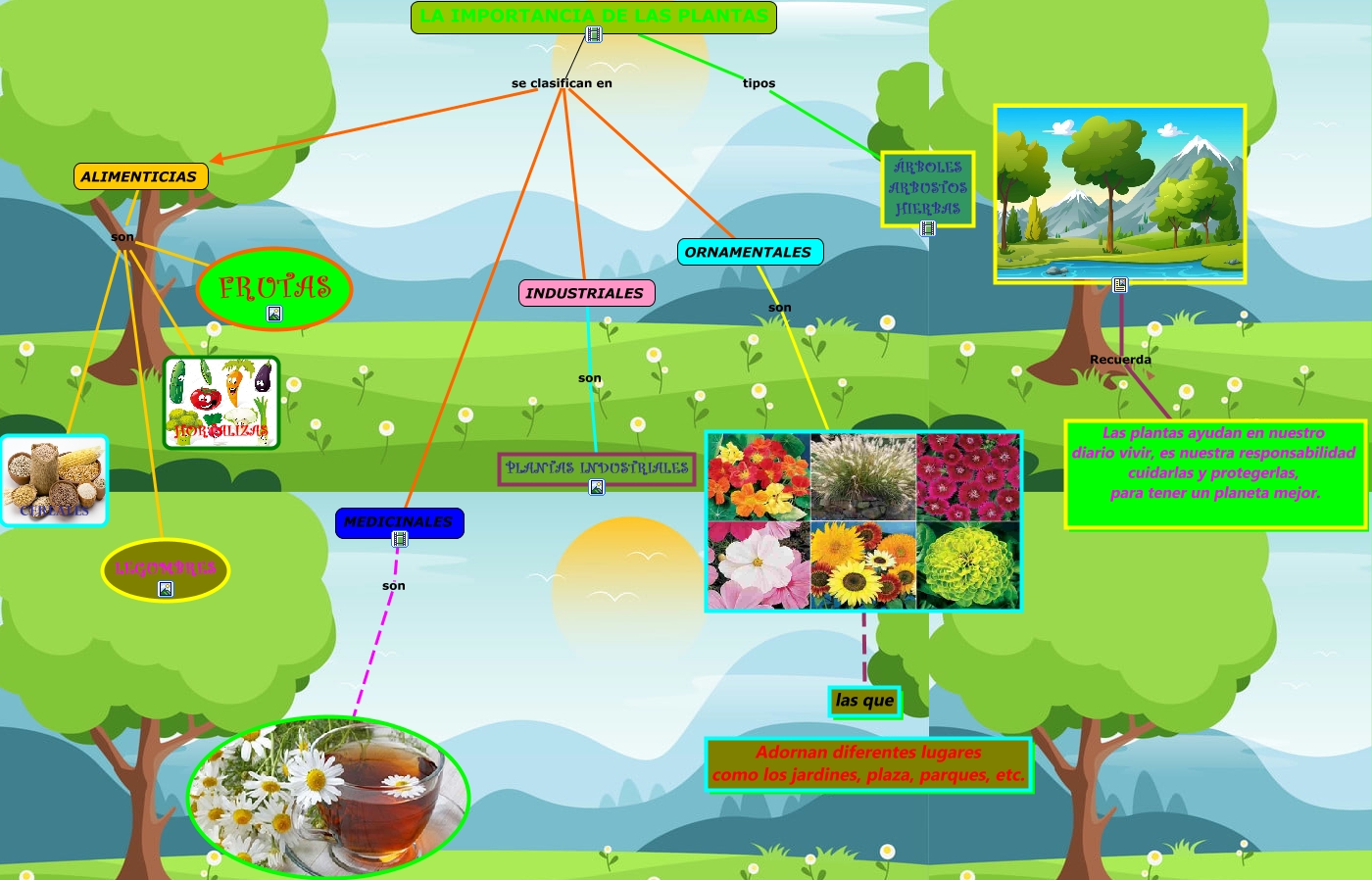 IMPORTANCIA DE LAS PLANTAS