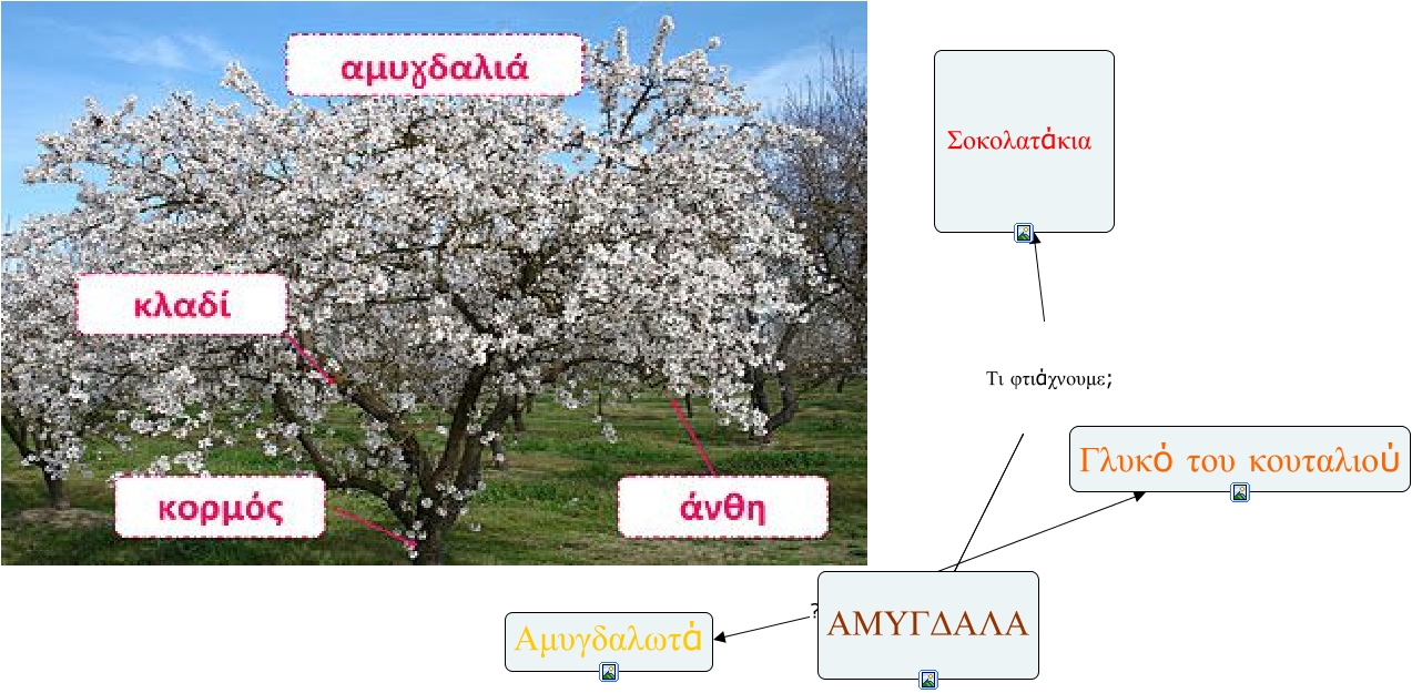 ΑΜΥΓΔΑΛΙΑ