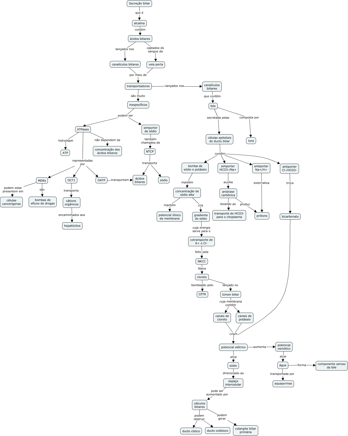 Secreção biliar - Como se dá o mecanismo molecular de secreção biliar?