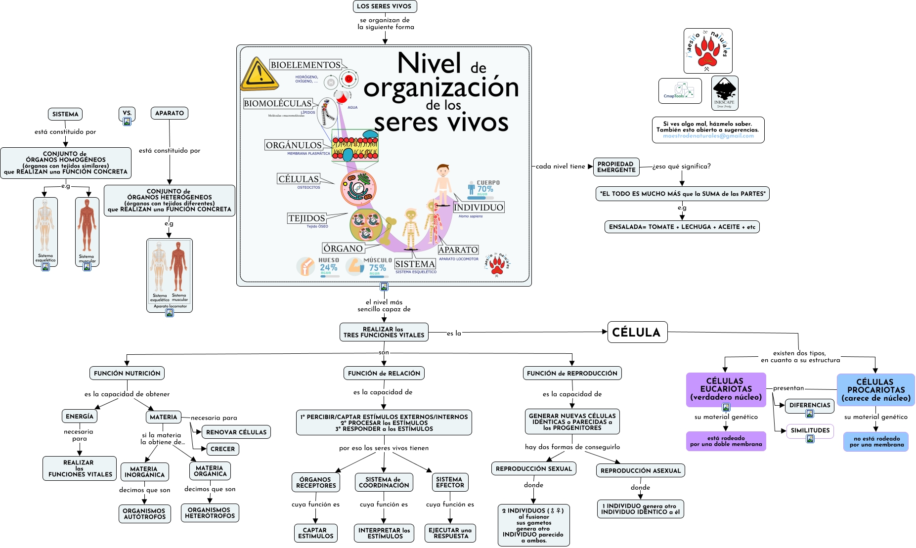 Tema 06.01 Funciones vitales y organización estructural de los seres vivos