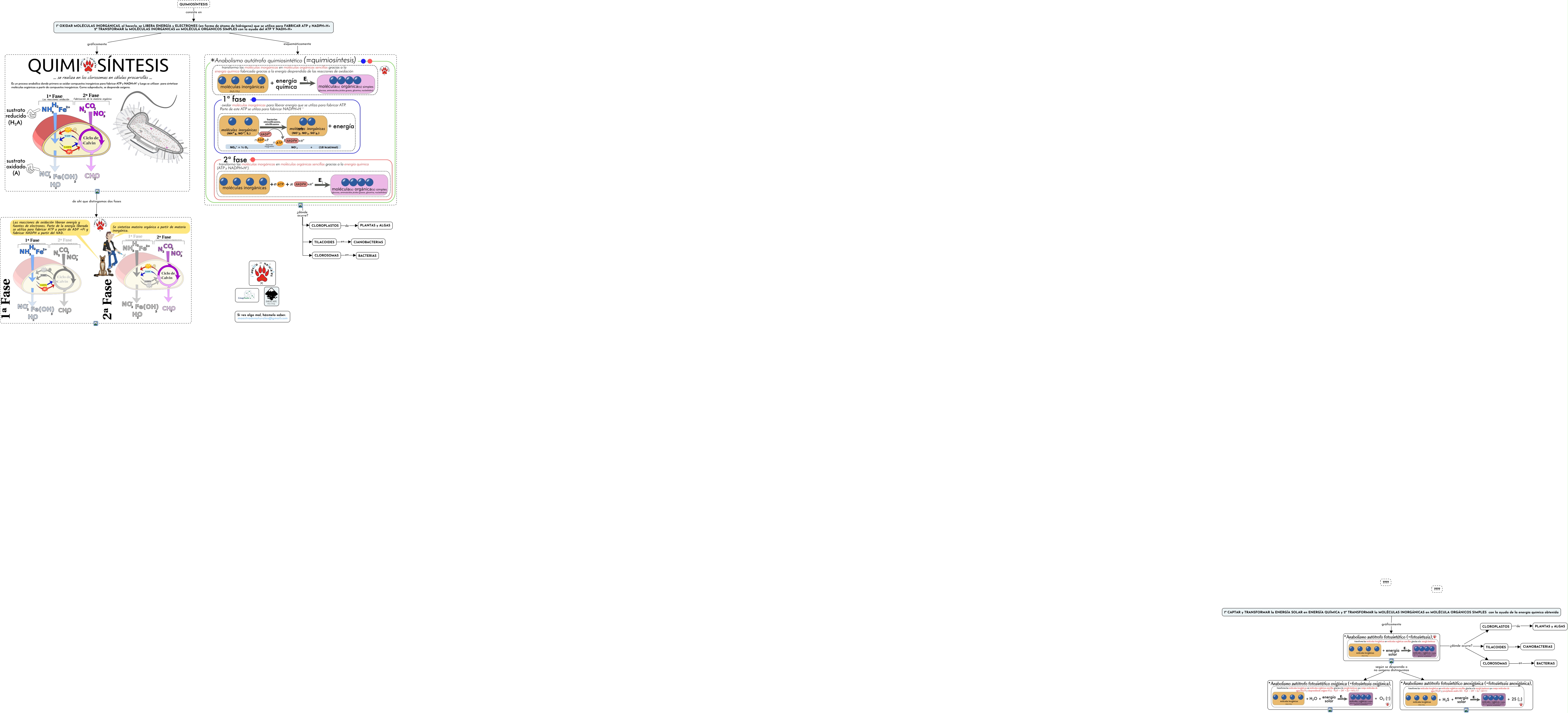 Tema 09.03 Quimiosíntesis