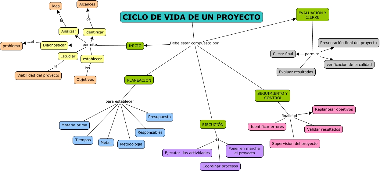 CICLO DE VIDA DE UN PROYECTO