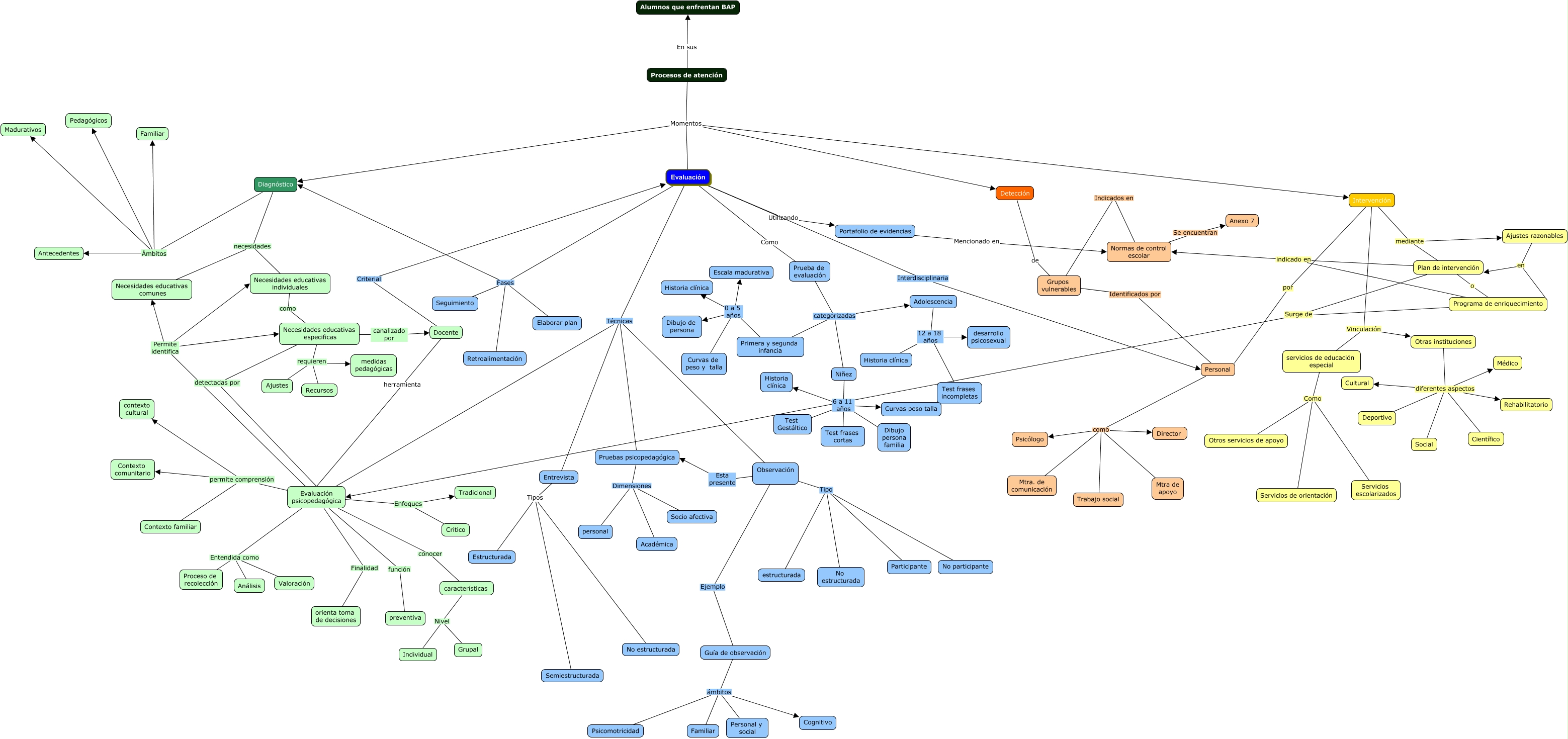 Mapa conceptual procesos atención
