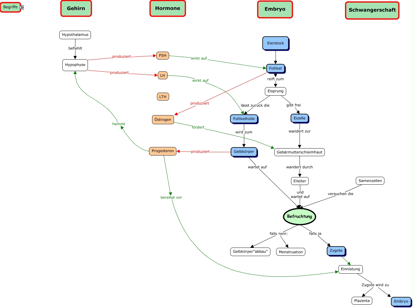 weibl_Zyklus Durst - Experten-Map Durst V1